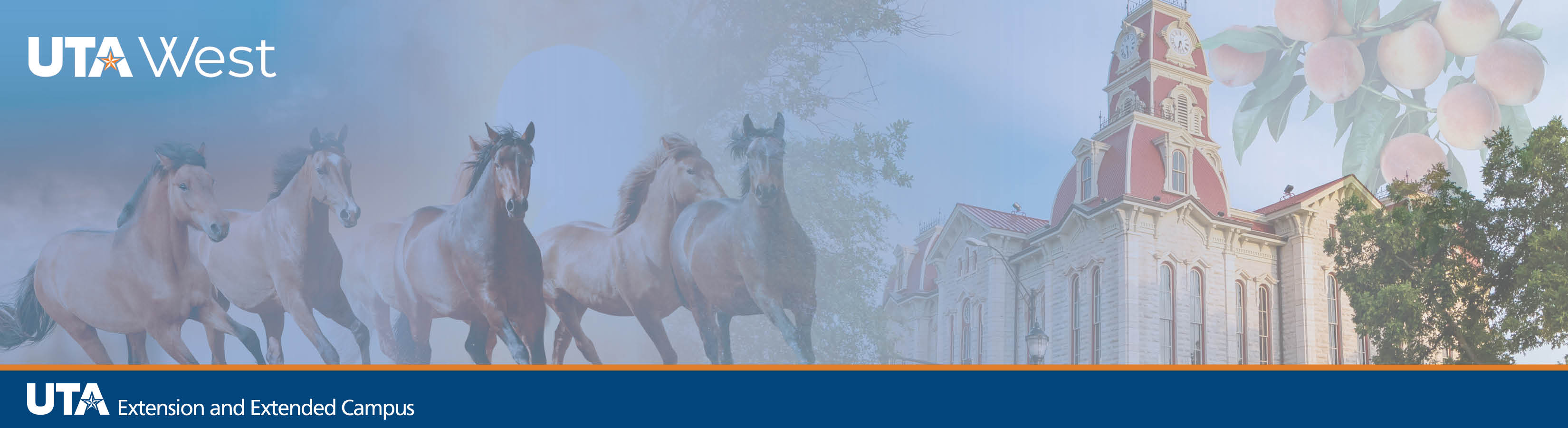 Parker County Programs - UTA EEC Division for Enterprise Development