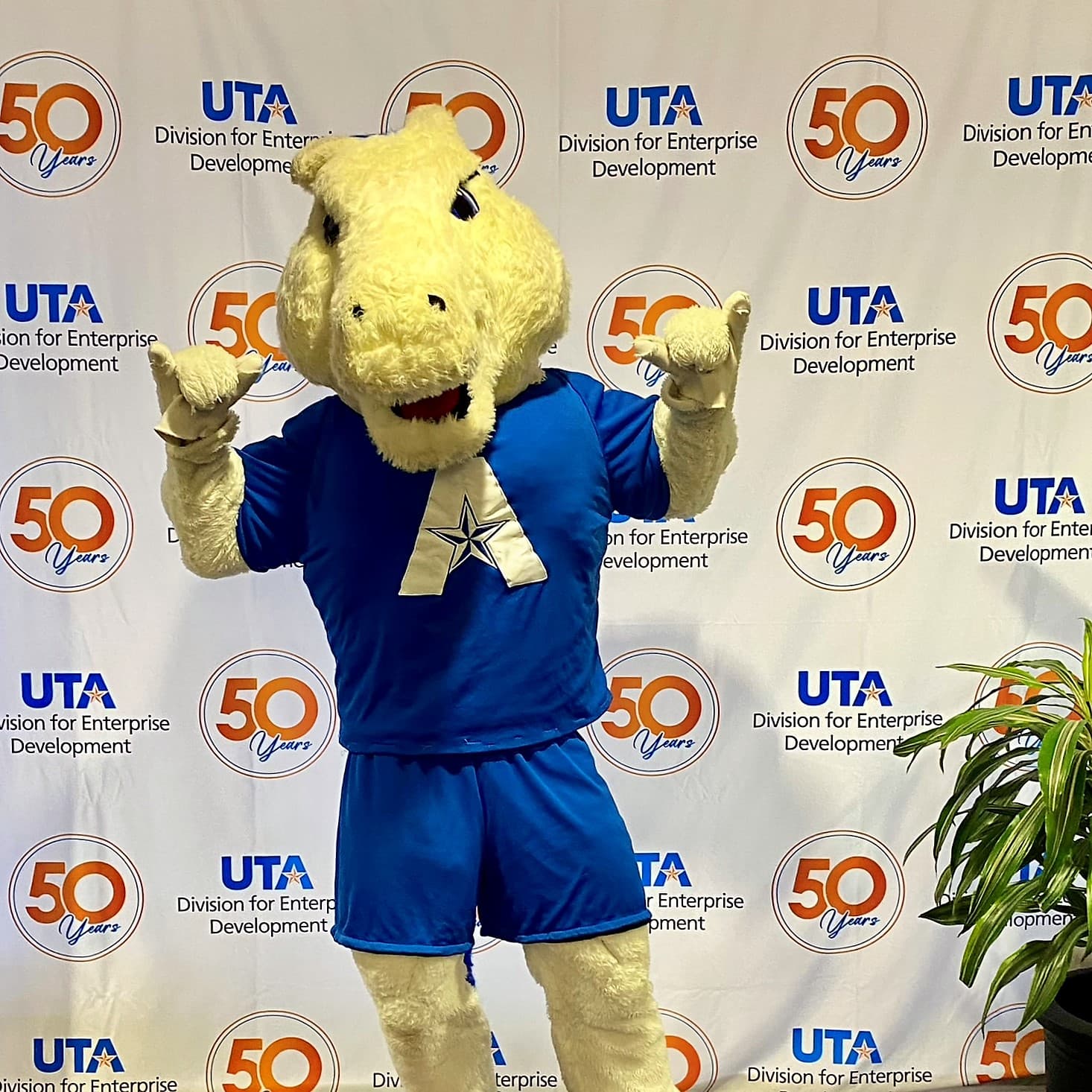 UTA EEC Division for Enterprise Development